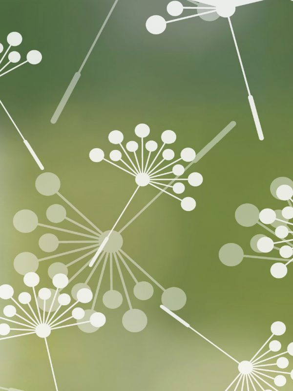 Nova Decorative Privacy Window Film | Retro Patterned | Modern Window Film