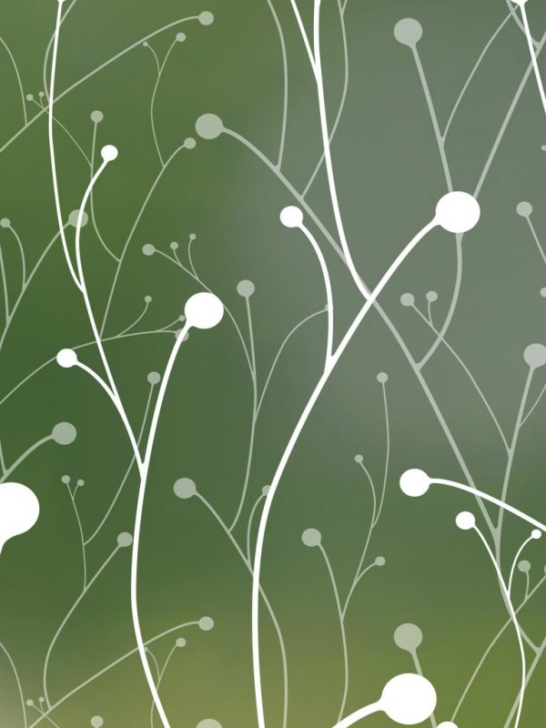 Modern Window Film | Best Store for Modern Window Film, Decorative ...